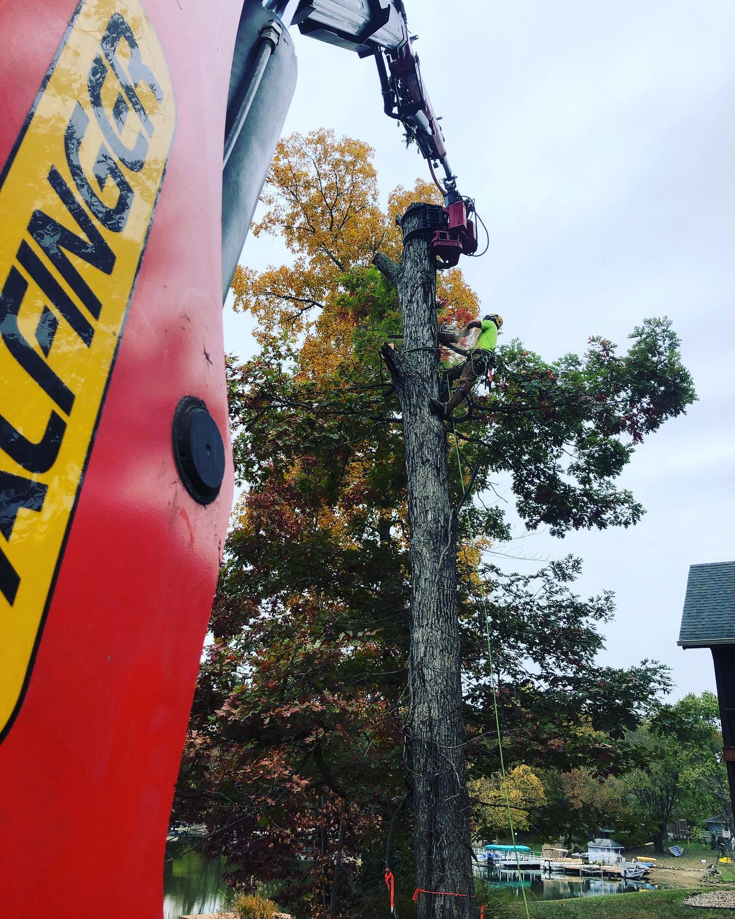 Franks Tree Care - Tree Care and Tree Removal in Columbus, Indiana