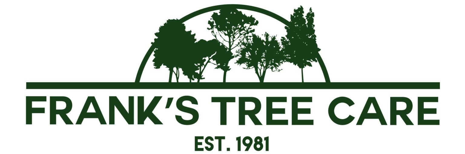Your Local Tree Experts - Franks Tree Care